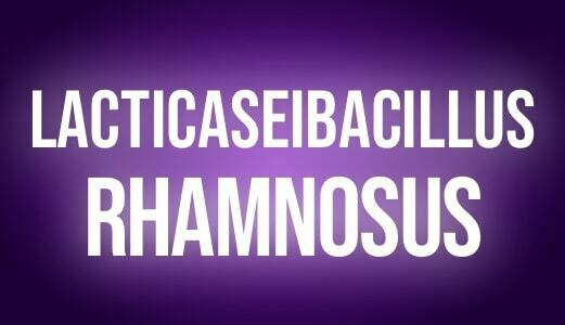 Lacticaseibacillus rhamnosus | Vitamíny a minerály