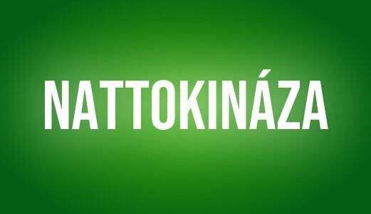 Nattokináza | Vitamíny a minerály